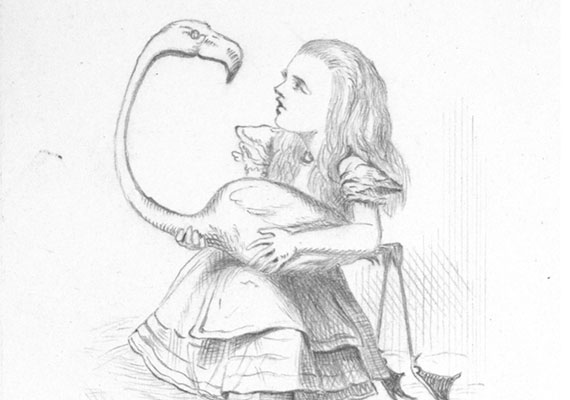 Down the rabbit hole at Houghton — Harvard Gazette