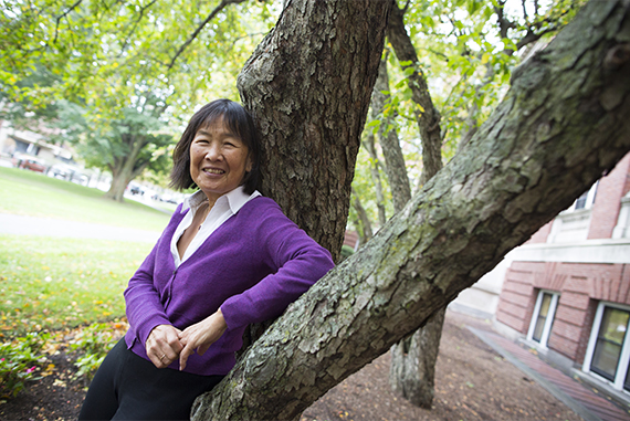 For Harvard professors, these are a few of their favorite things ...