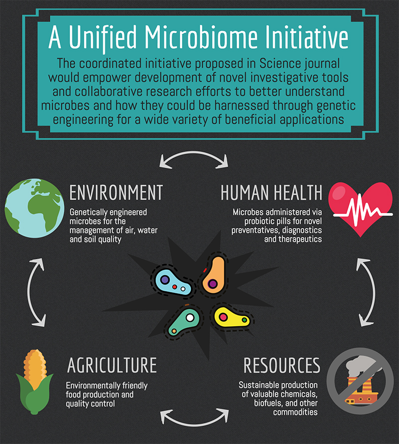 Microbiomes could hold keys to improving life — Harvard Gazette