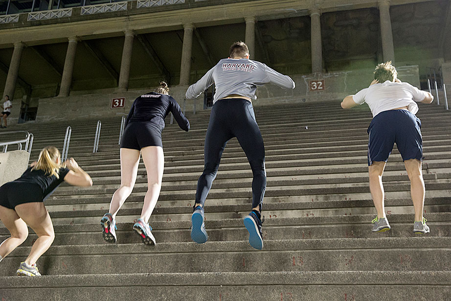 Ups and downs at Harvard Stadium — Harvard Gazette