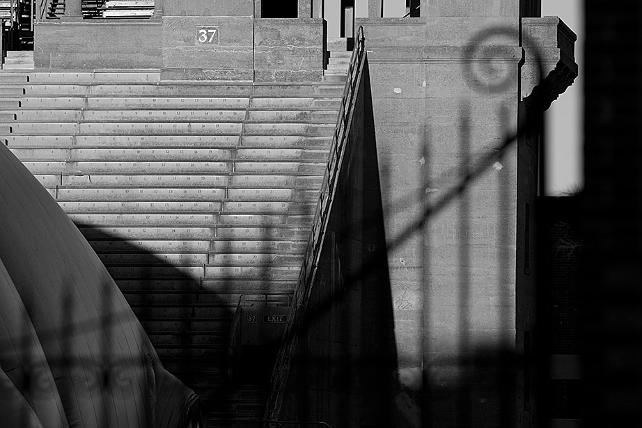 Chiaroscuro: Exploring the dark and the light — Harvard Gazette