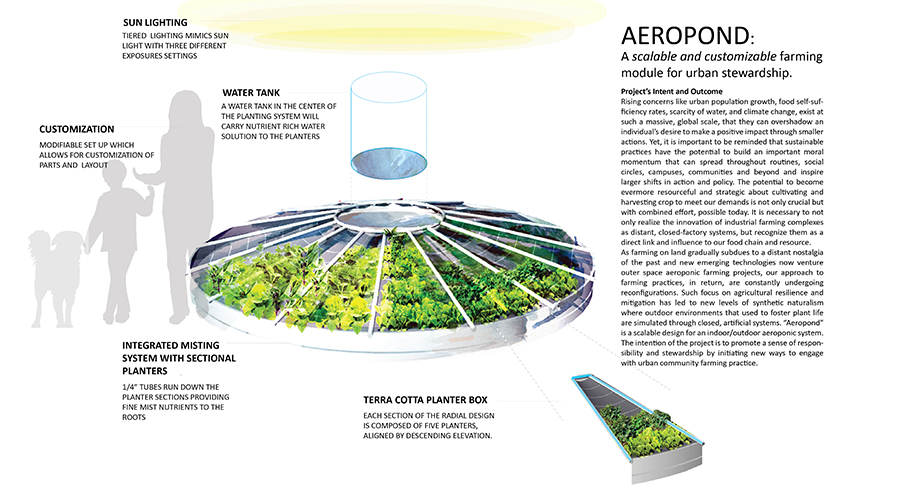 Discovering soil-less farming — Harvard Gazette