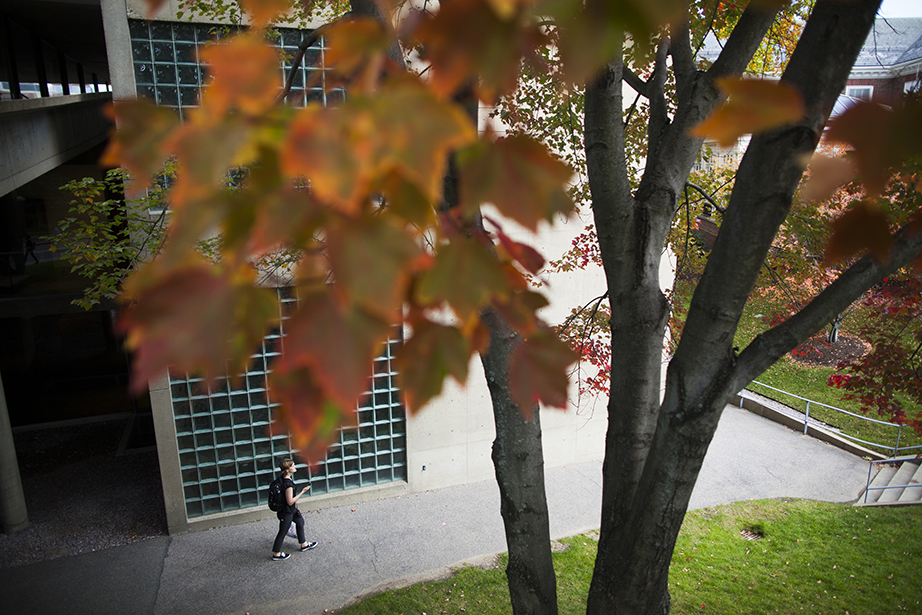 Autumn arrives in Harvard Yard — Harvard Gazette