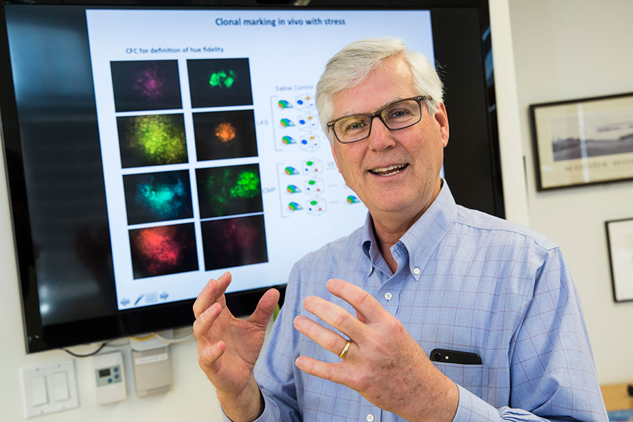 Researchers study secrets of aging via stem cells — Harvard Gazette