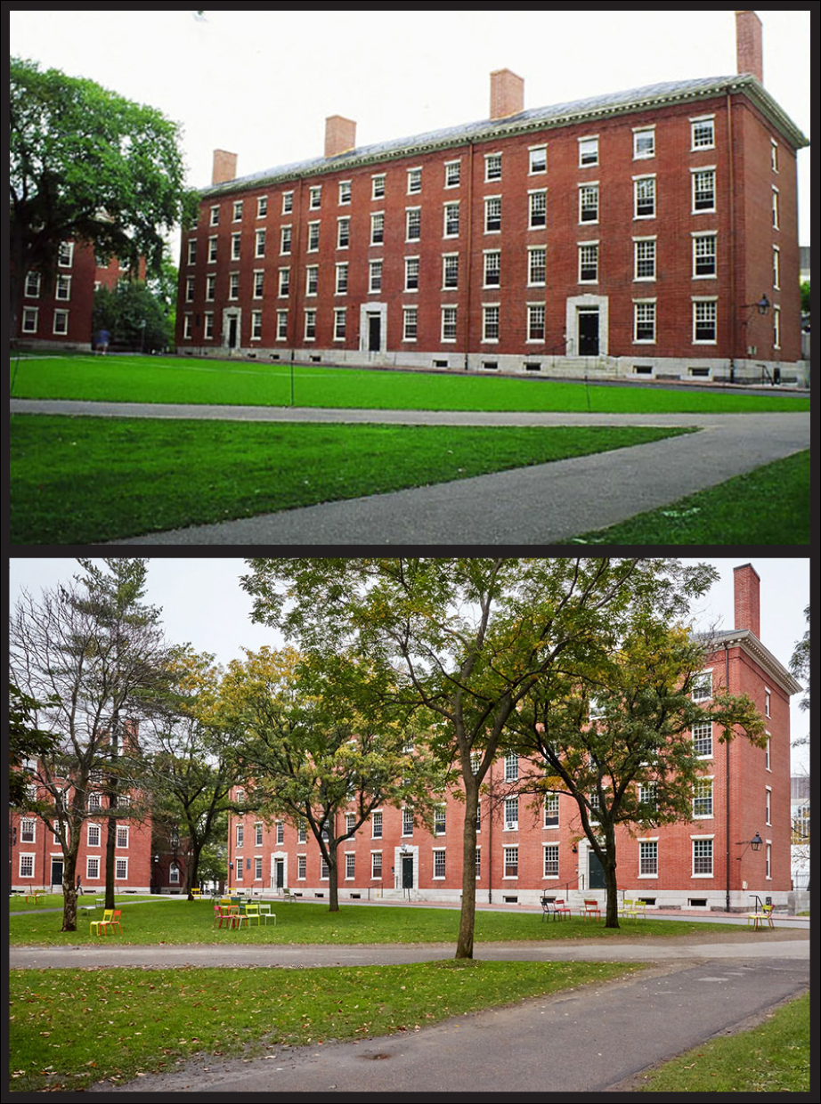 Before-after photos accent Harvard Yard’s evolving nature — Harvard Gazette