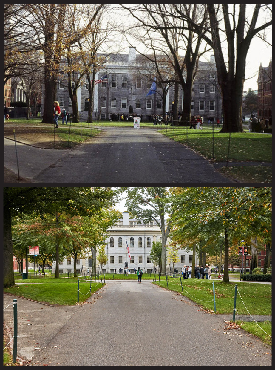 Before-after photos accent Harvard Yard’s evolving nature — Harvard Gazette