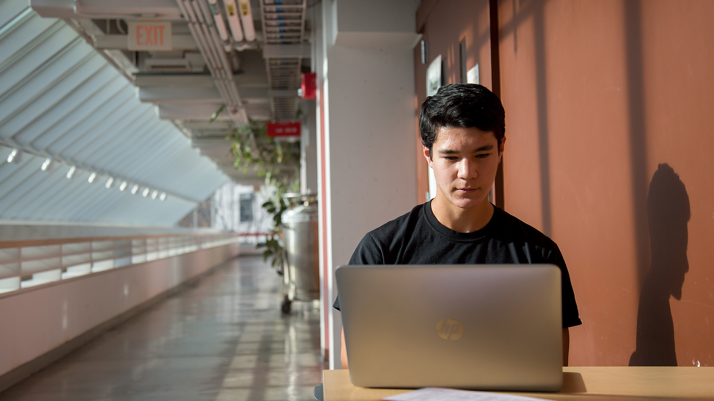 Harvard students’ favorite spots to study on campus — Harvard Gazette