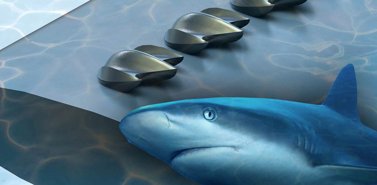 In aerodynamic performance, sharkskin model offers more lift, less drag ...