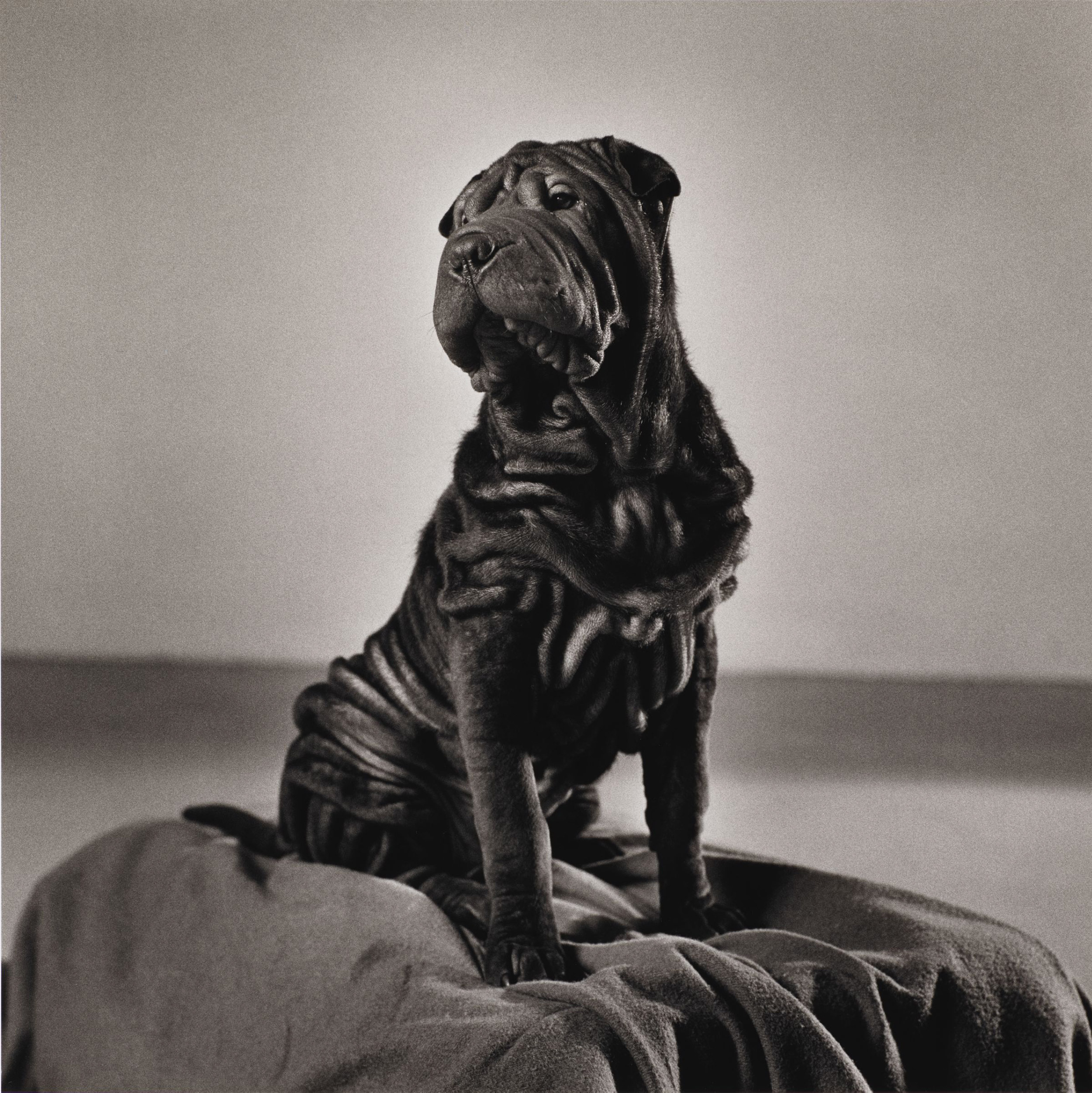 Starring roles for photo lab, New York in Harvard Art Museum exhibit ...