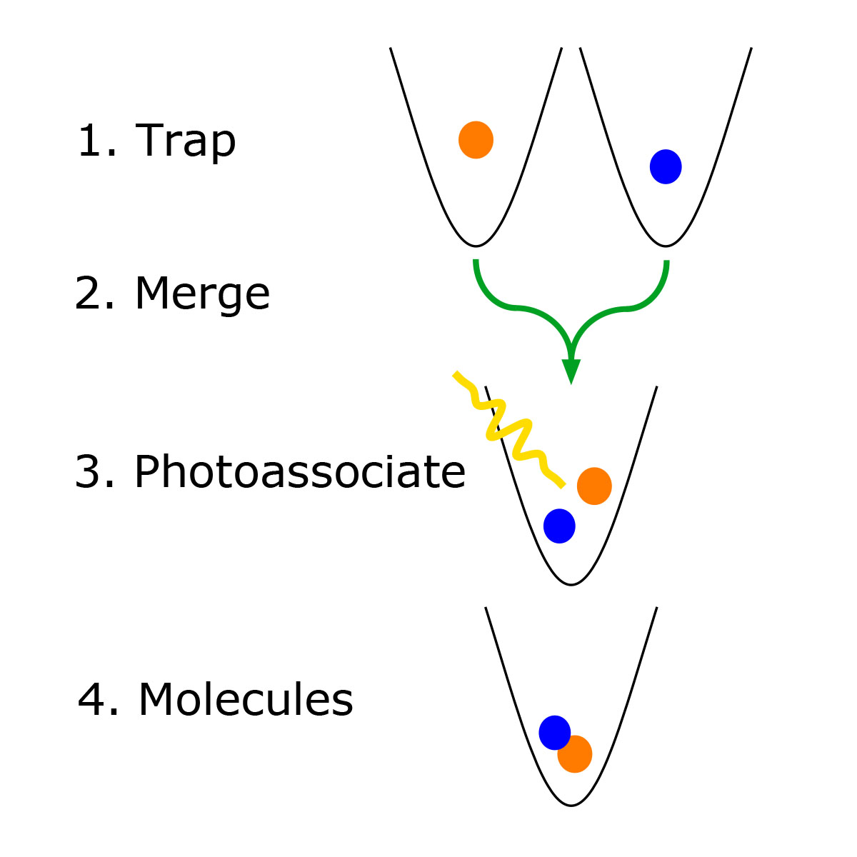 Two atoms combined in dipolar molecule for first time — Harvard Gazette
