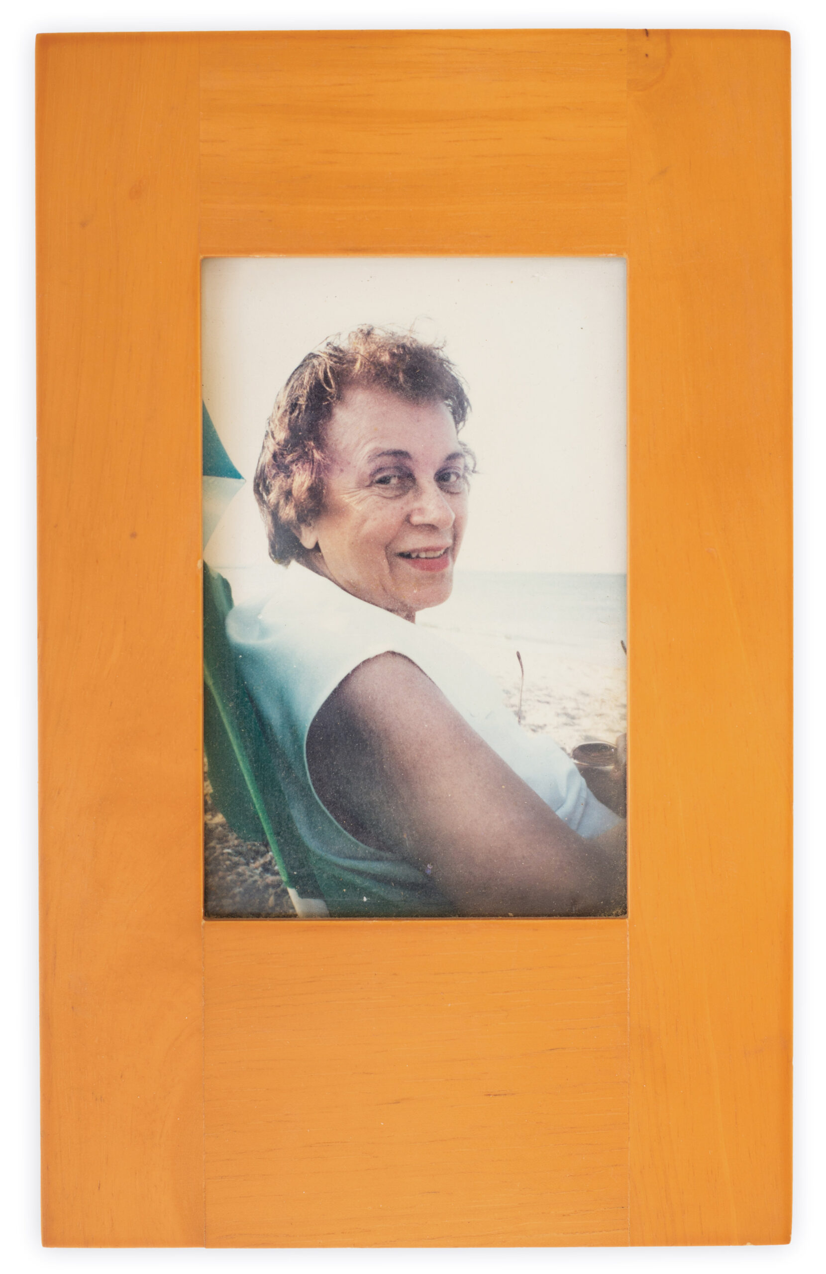 Patricia J. Williams donates a century of family papers to Radcliffe ...