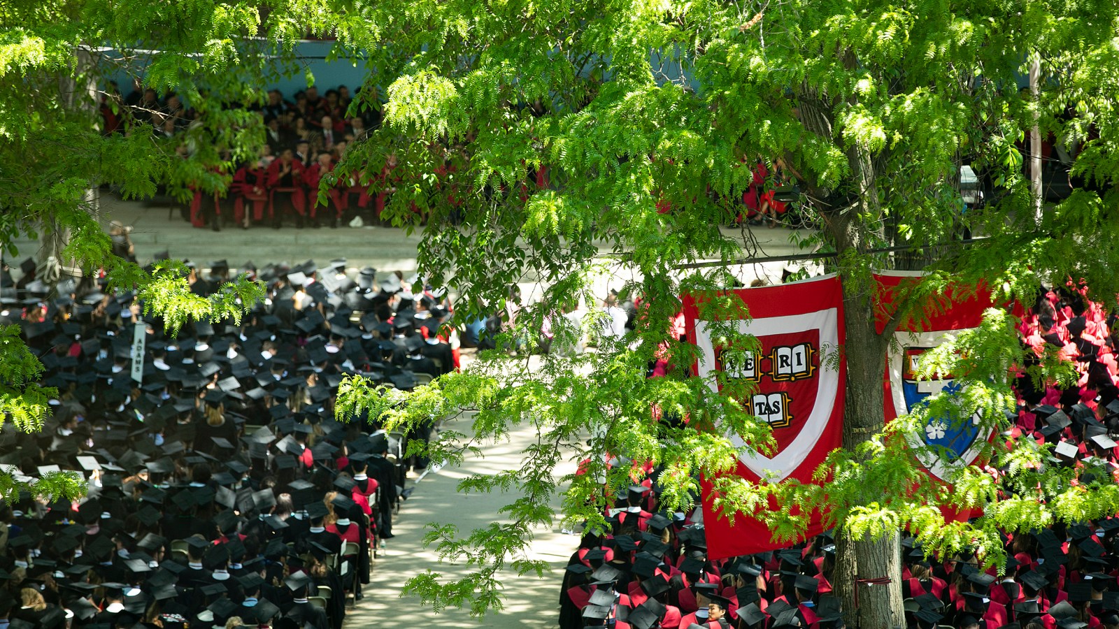 Snapshots of Harvard’s 367th Commencement – Harvard Gazette
