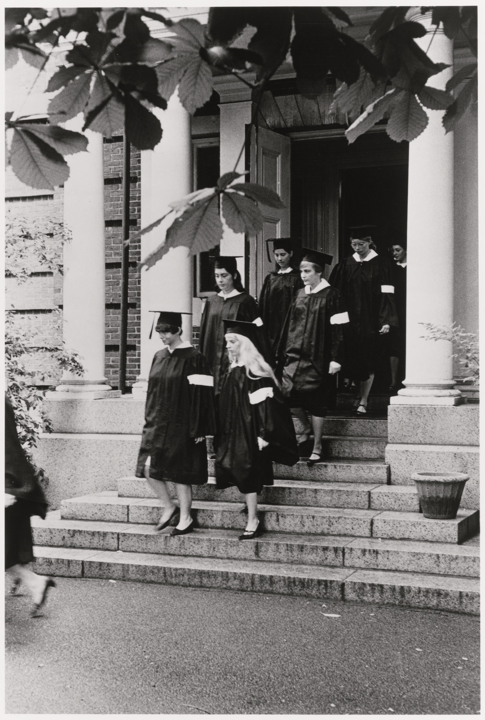 At Harvard, a revolution 50 years in the making — Harvard Gazette