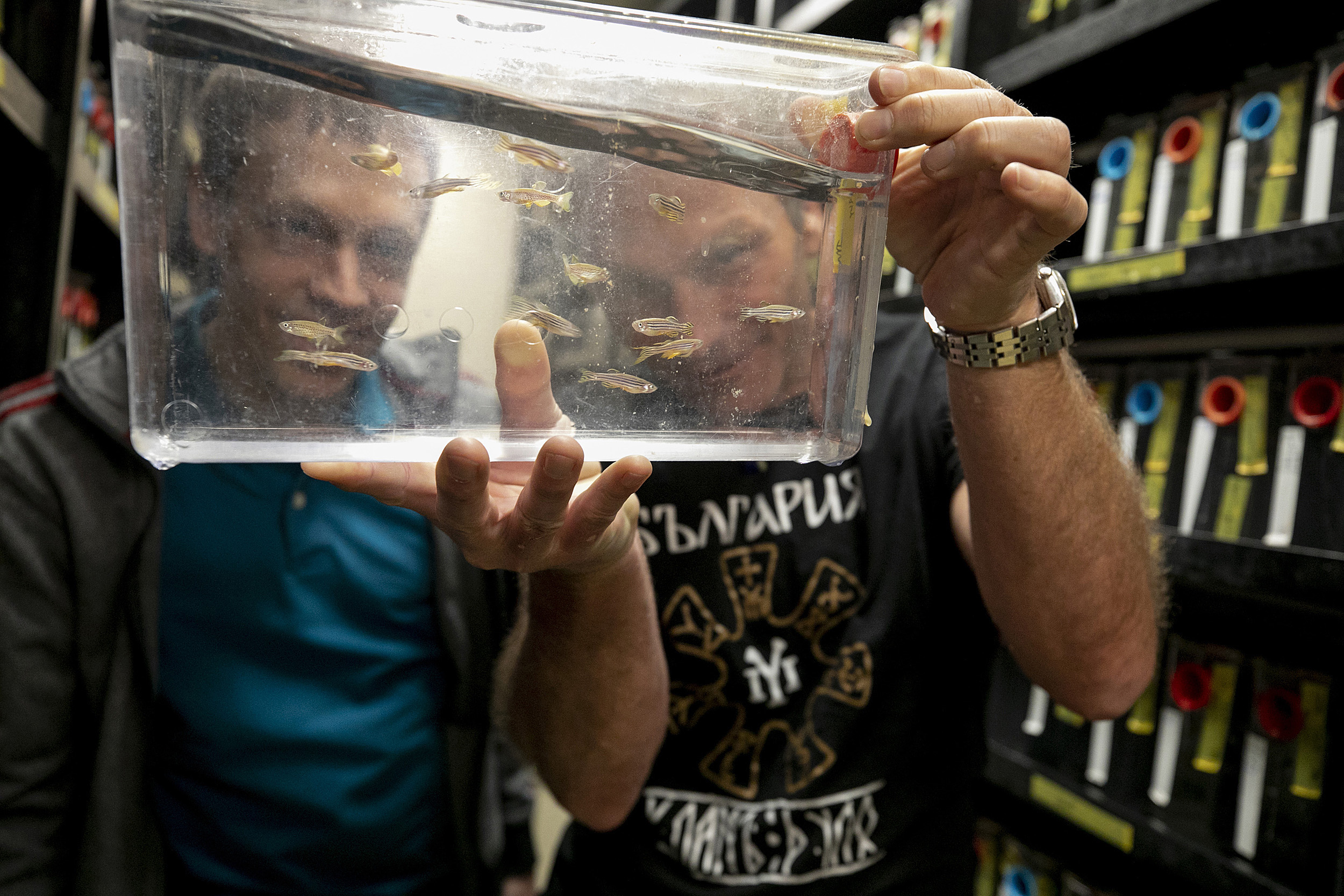 Study explores how the brain processes heat information and influences ...