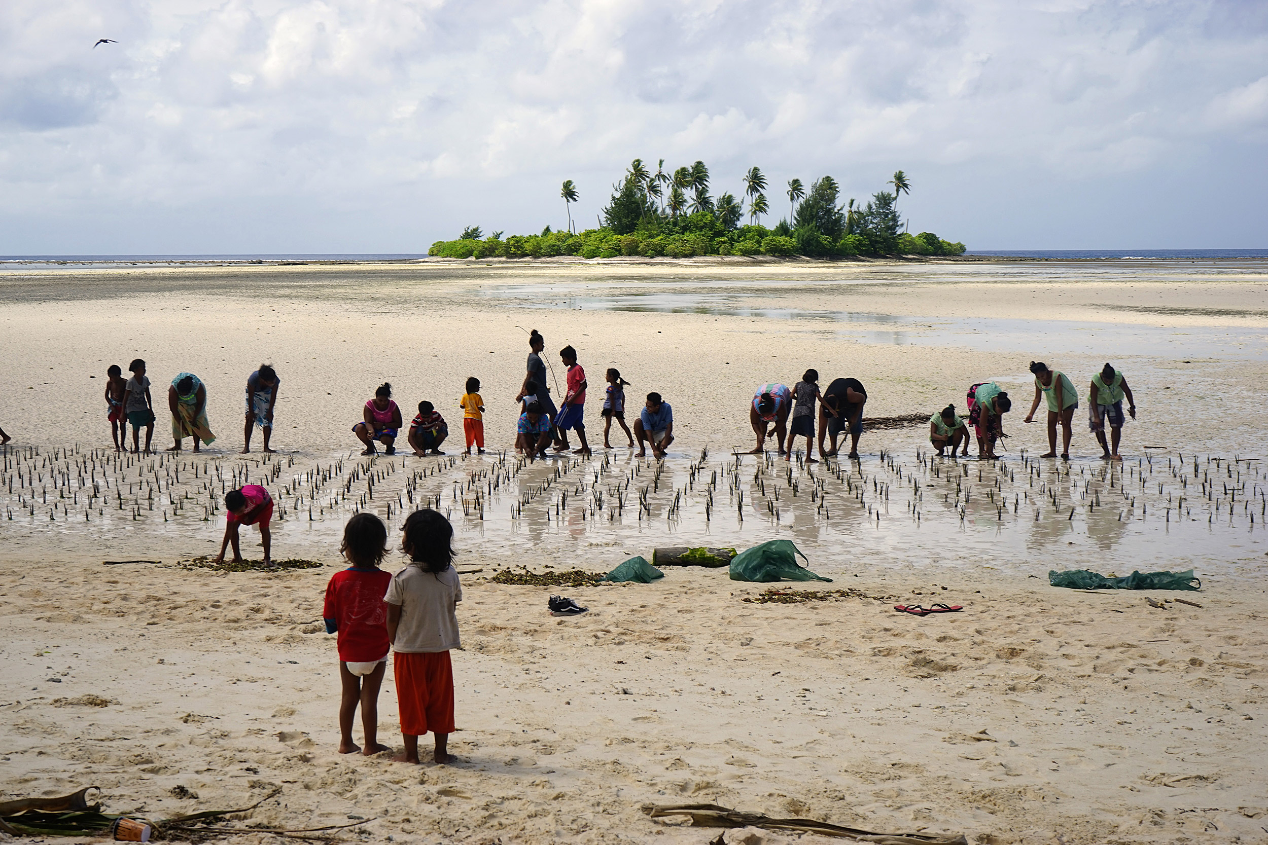 ‘Weathering Change’ brings humanities to science — Harvard Gazette