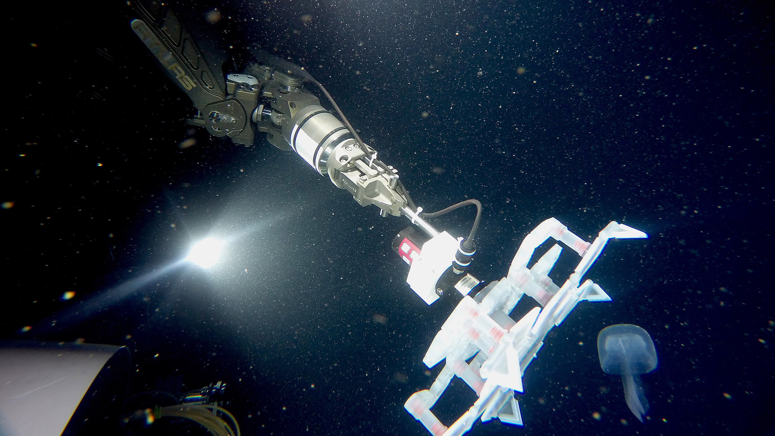 Robots with sticky feet can go where humans can’t fit — Harvard Gazette