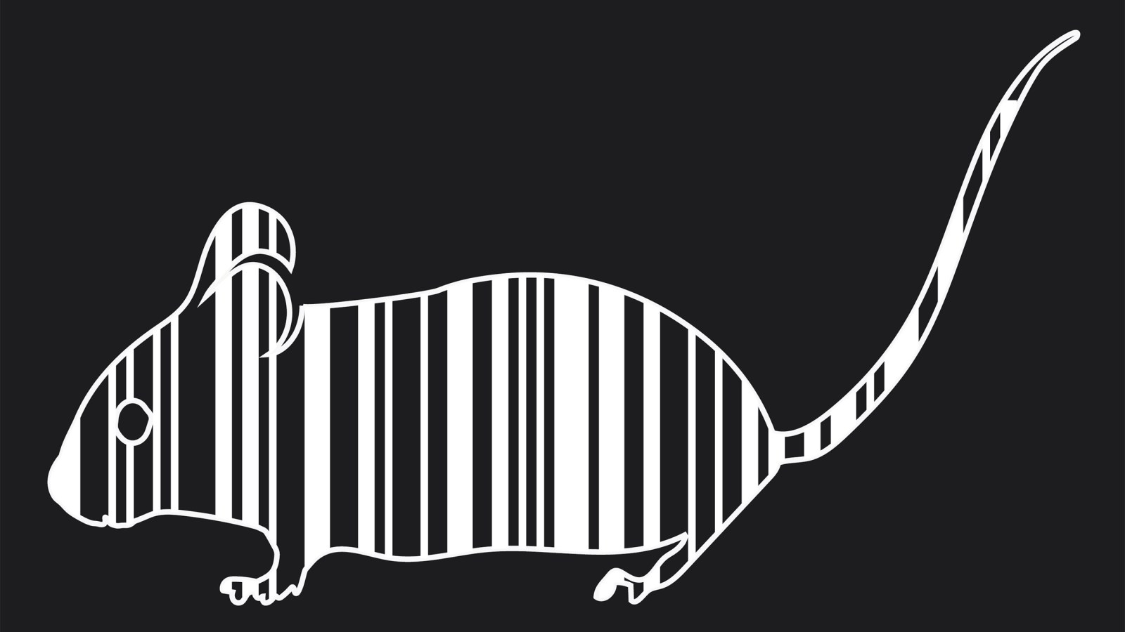 Genetic barcodes can record every cell’s history in real time – Harvard ...