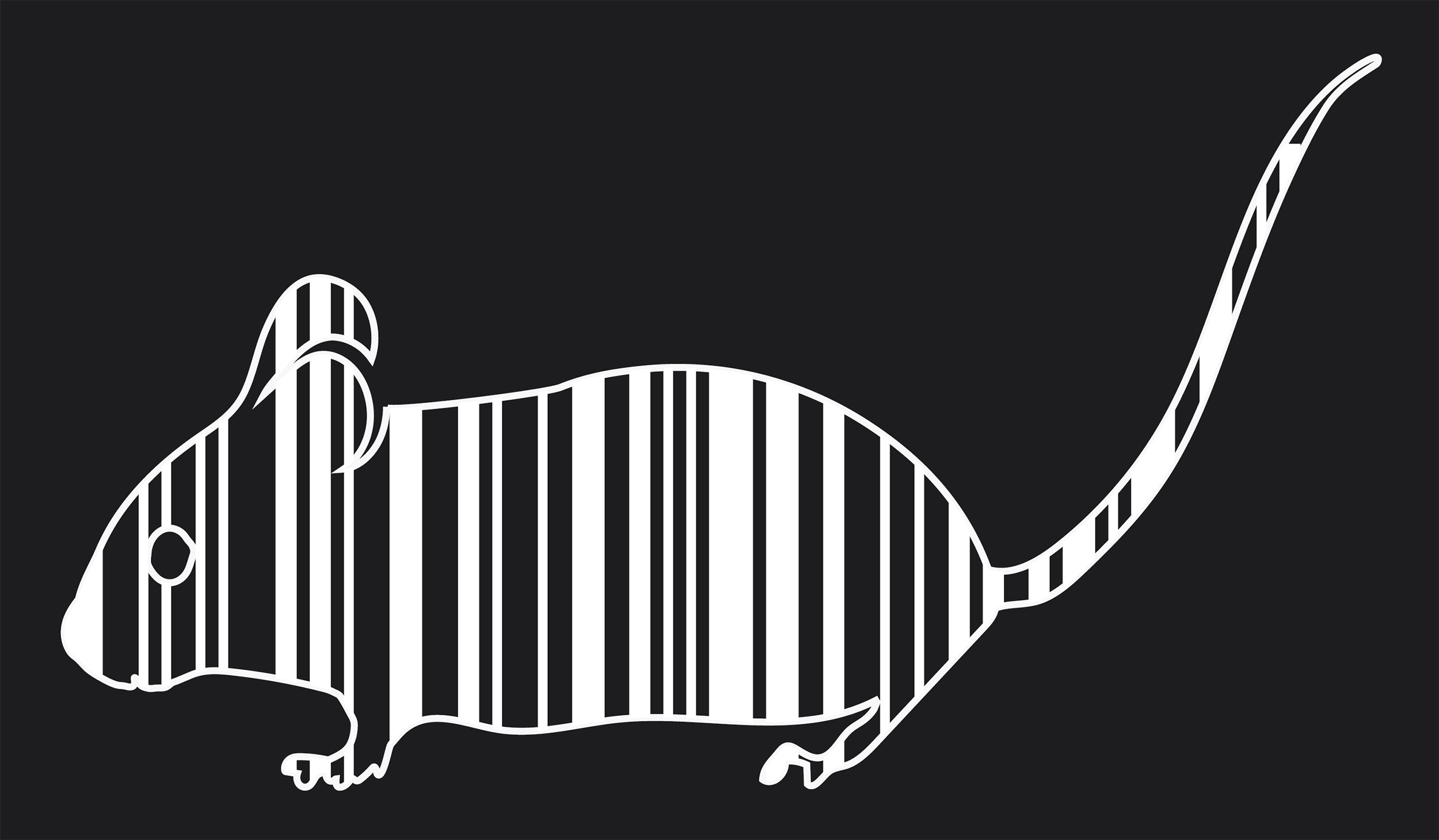 Harvard study finds cells recall their early development — Harvard Gazette