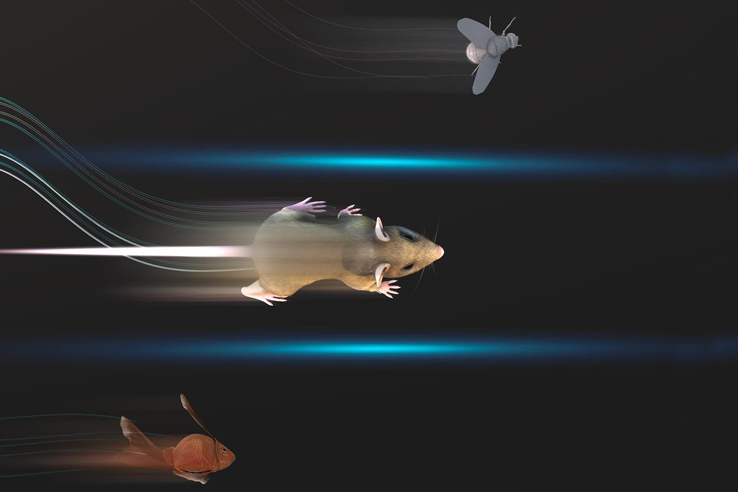 Tech breakthrough combines motion capture and neural learning — Harvard ...