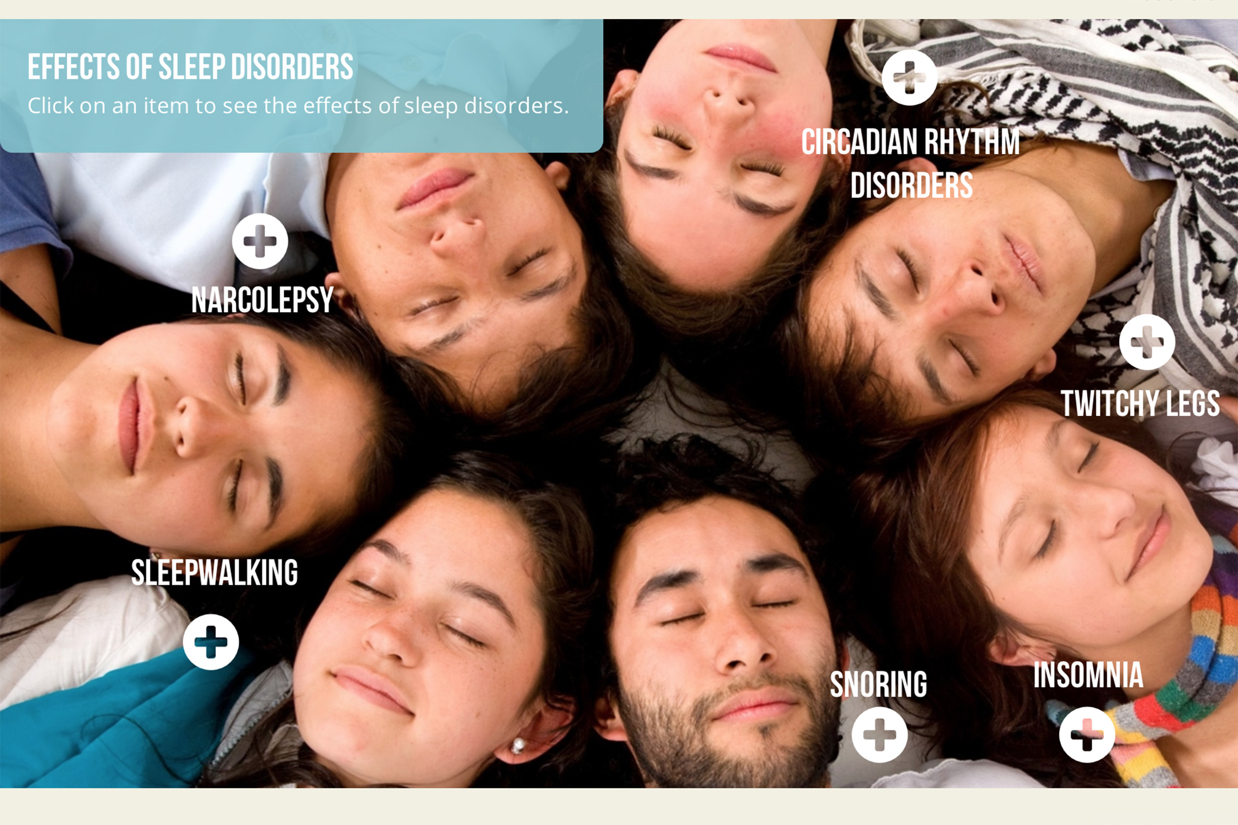 76 more gene regions found associated with sleep duration — Harvard Gazette