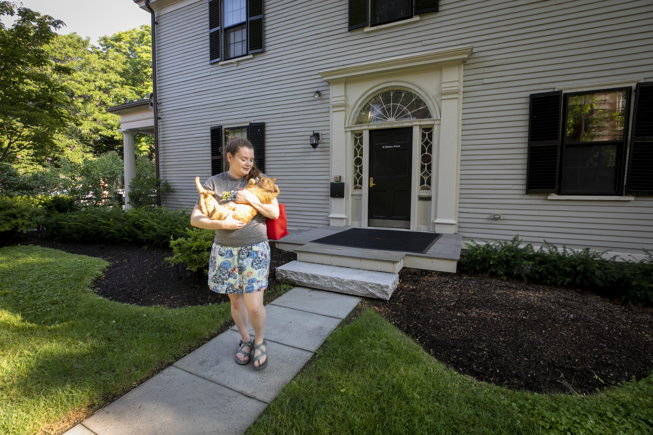 Harvard's Remy is more than a humanities cat — Harvard Gazette