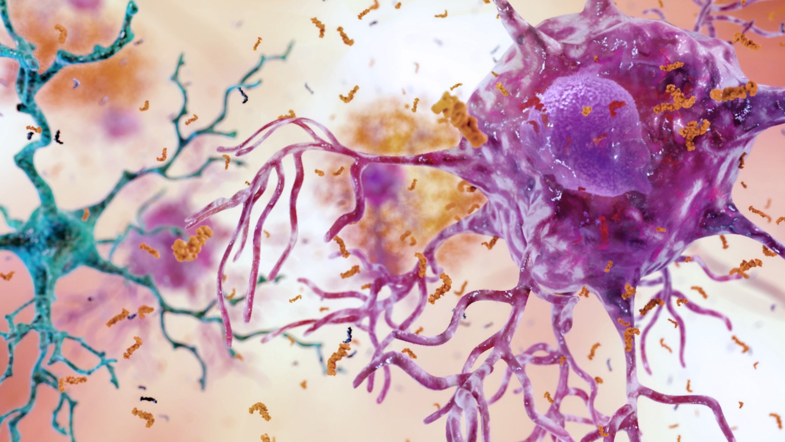 Exercise improves cognition in Alzheimer’s mouse model – Harvard Gazette