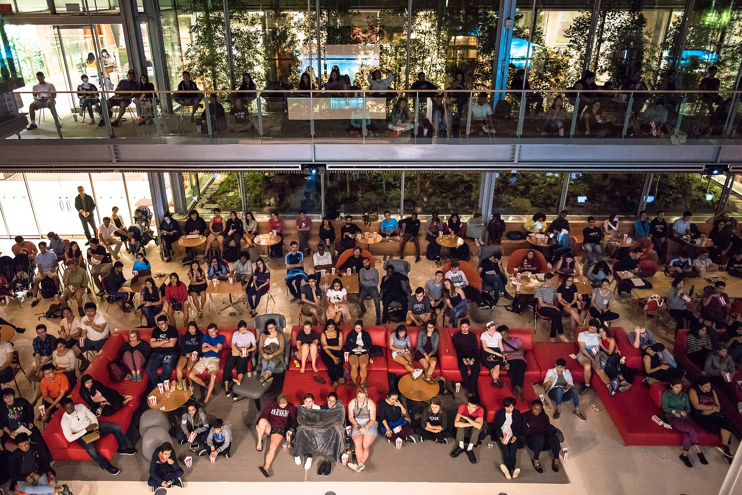 Members of the Harvard community talk about their favorite spots on ...