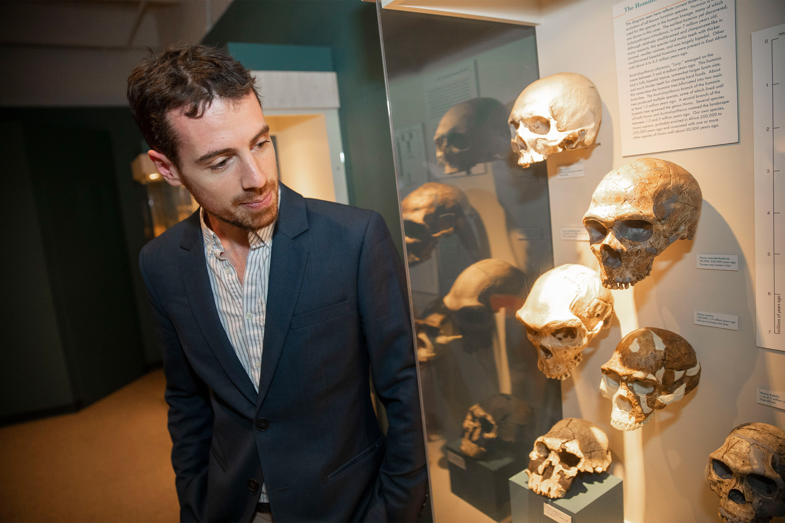 Harvard researchers show how tusks evolved — Harvard Gazette