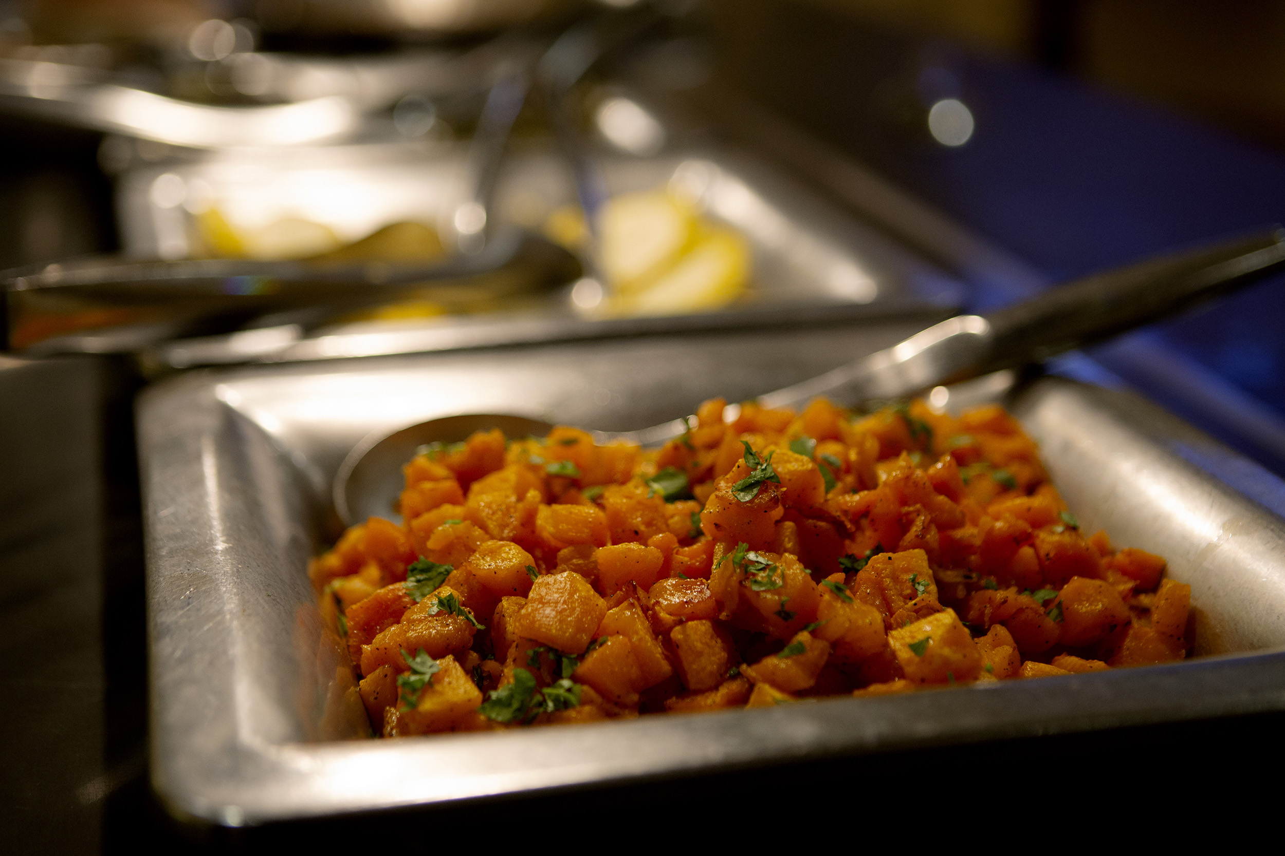 From sea to Harvard dining hall table — Harvard Gazette