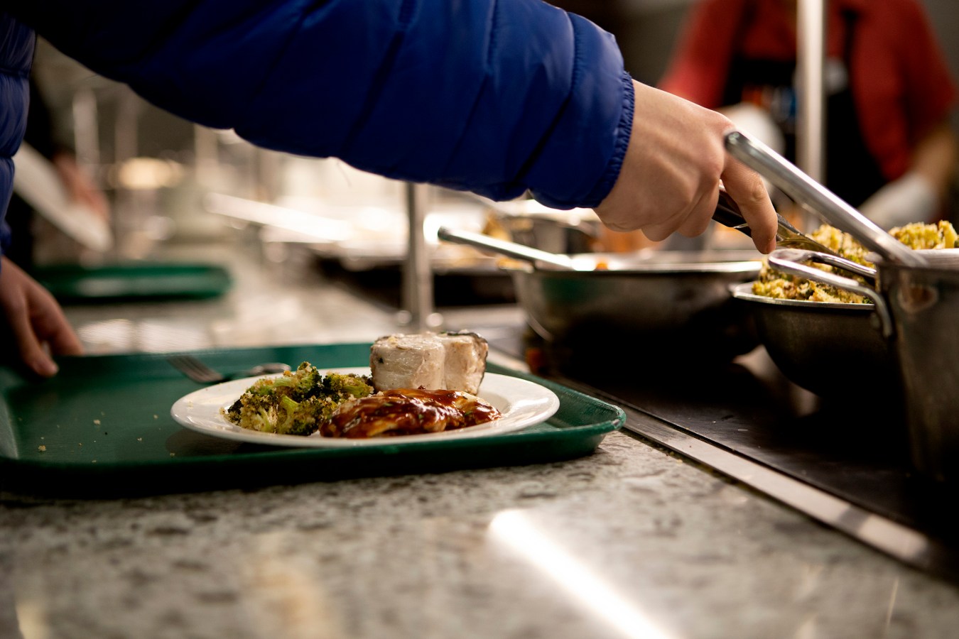 From sea to Harvard dining hall table – Harvard Gazette