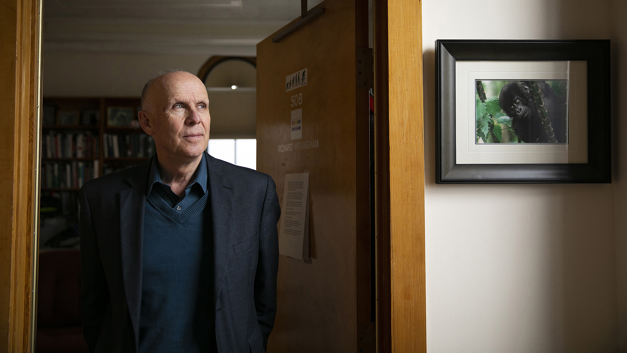 Getting to know 'hippie apes' through Martin Surbeck — Harvard Gazette