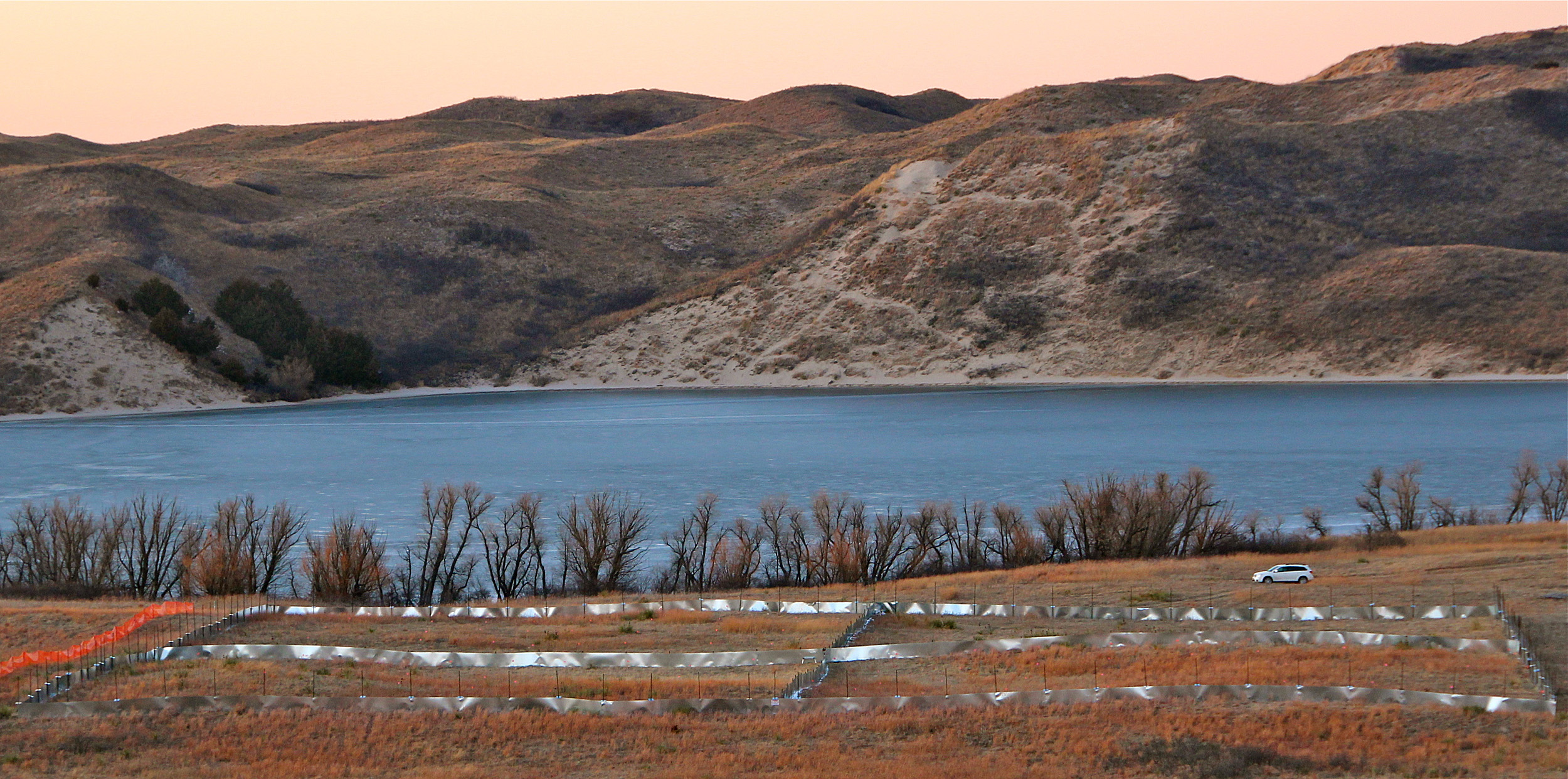 Harvard study captures clear picture of how evolution works in ...