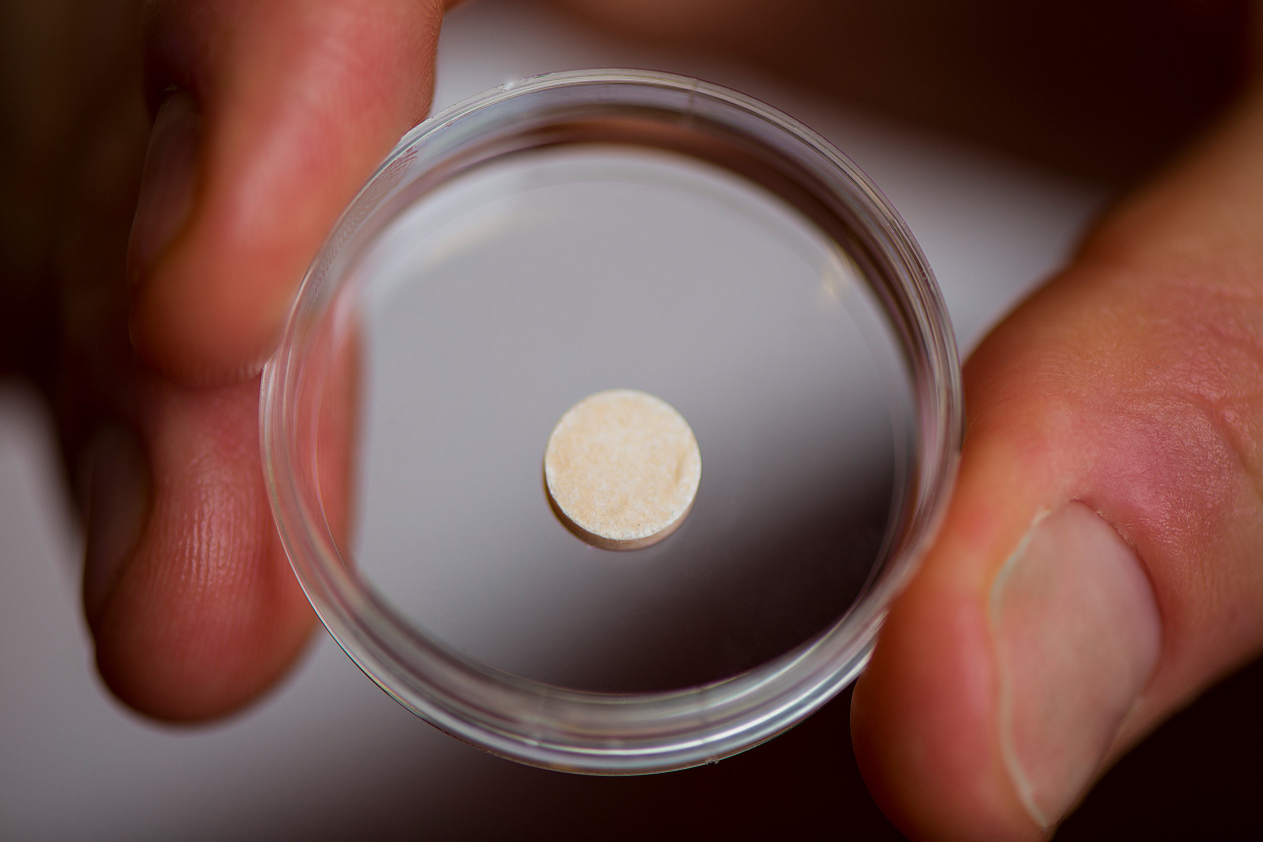 Harvard researchers look toward nature to beat cancer — Harvard Gazette