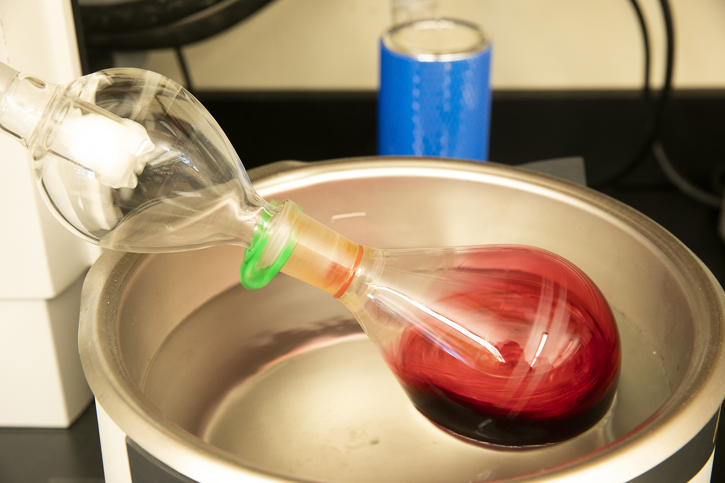 Anti-aging research: ‘Prime time for an impact on the globe’ — Harvard ...