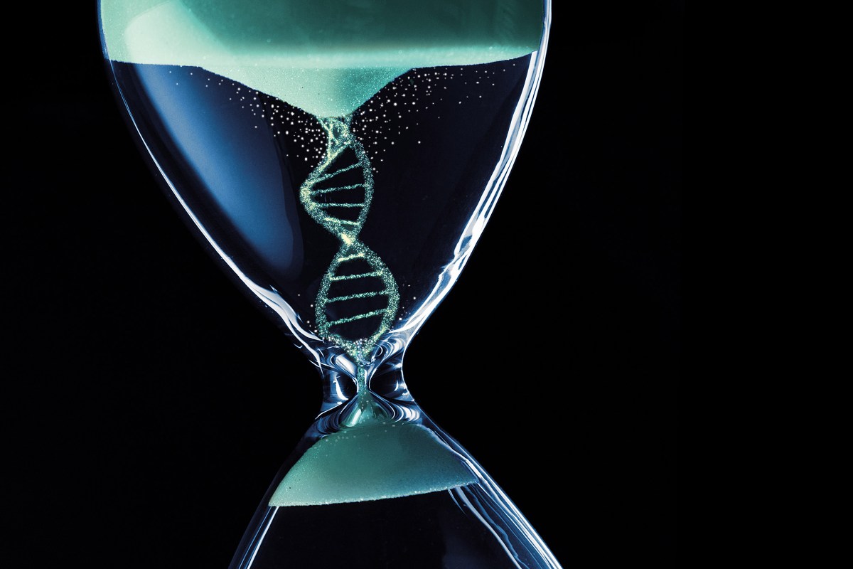 Anti-aging research: ‘Prime time for an impact on the globe’ – Harvard ...
