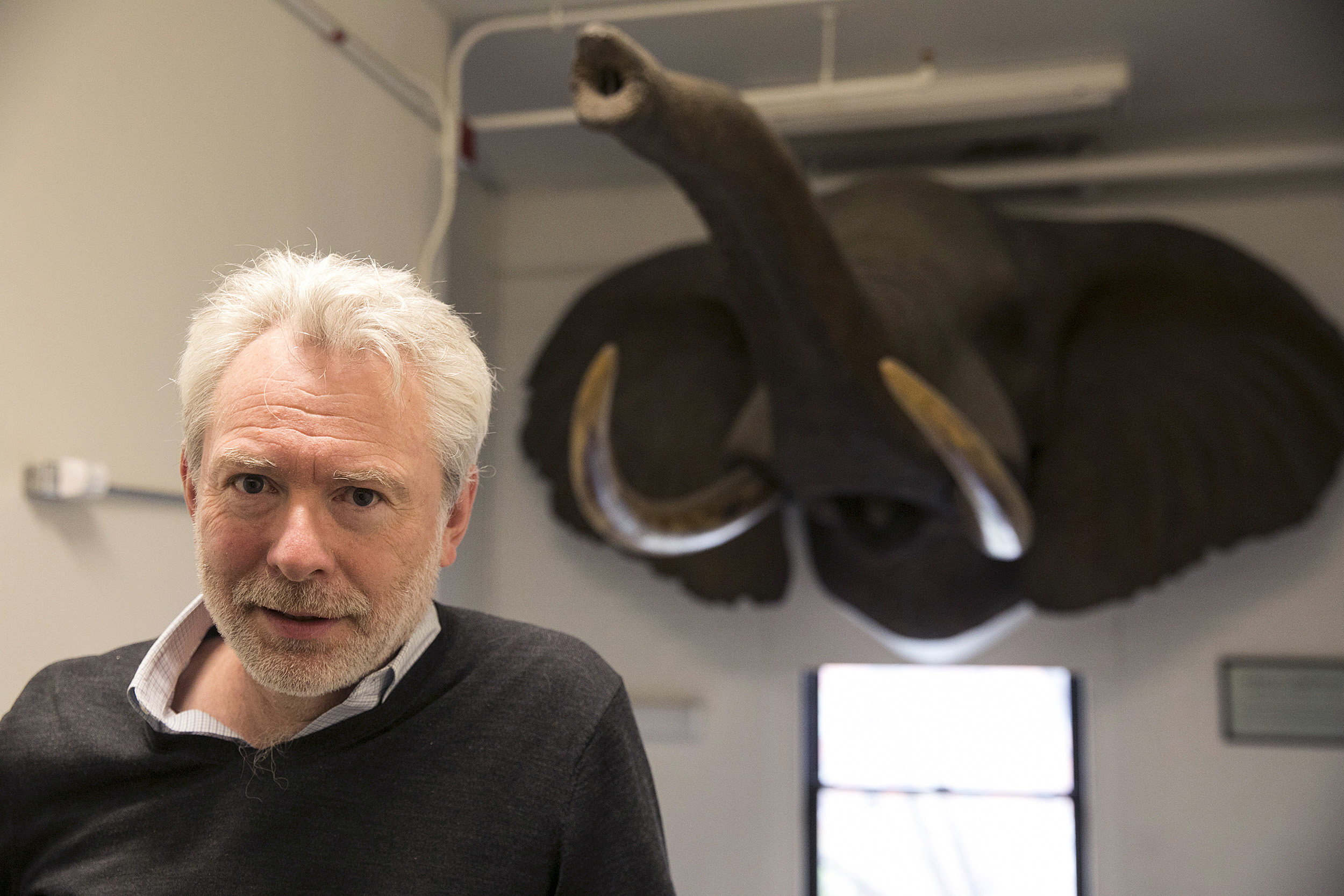 Harvard researchers examine how mammal spines evolve — Harvard Gazette