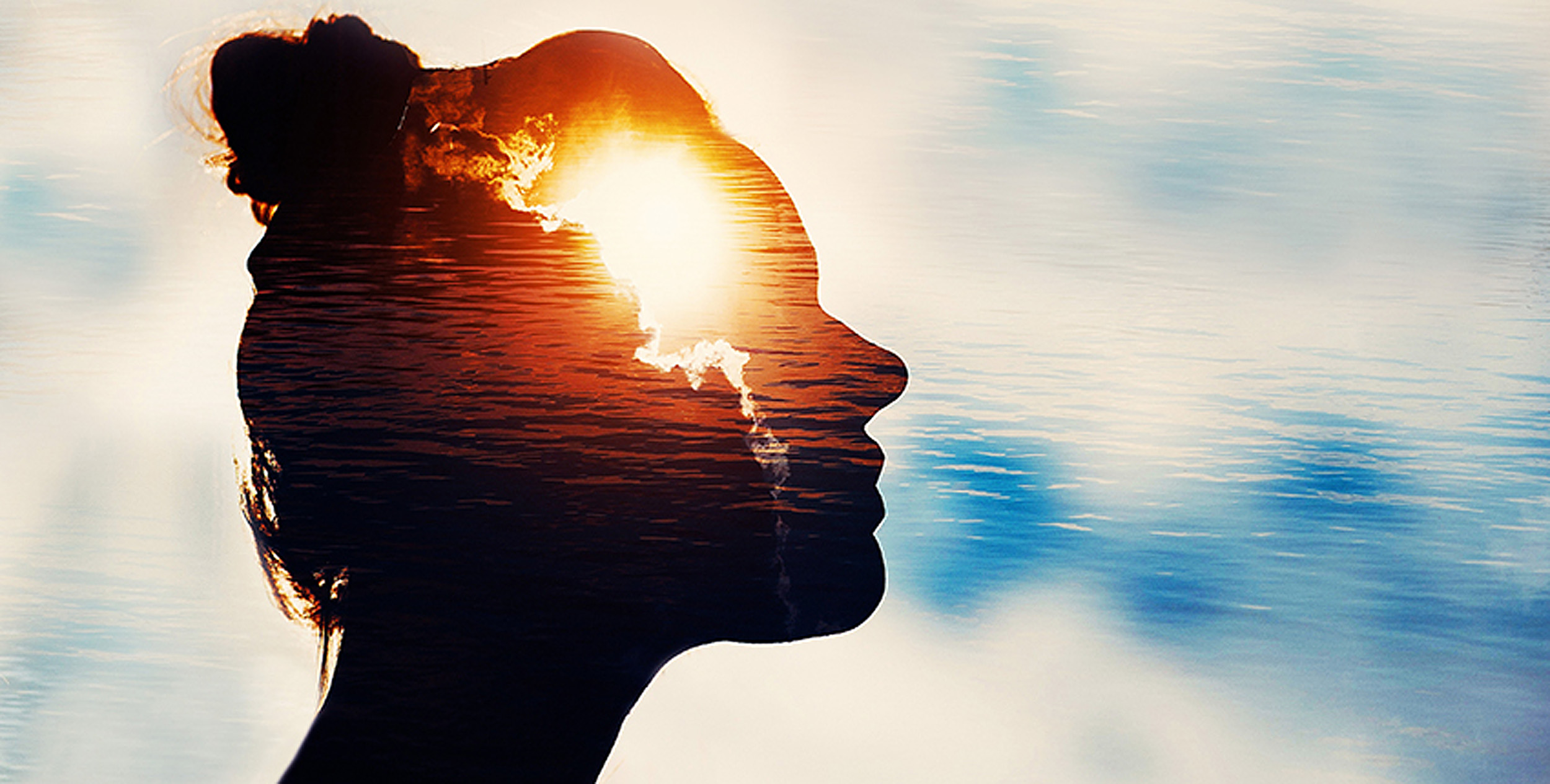 Harvard scientists find vision relates to movement — Harvard Gazette