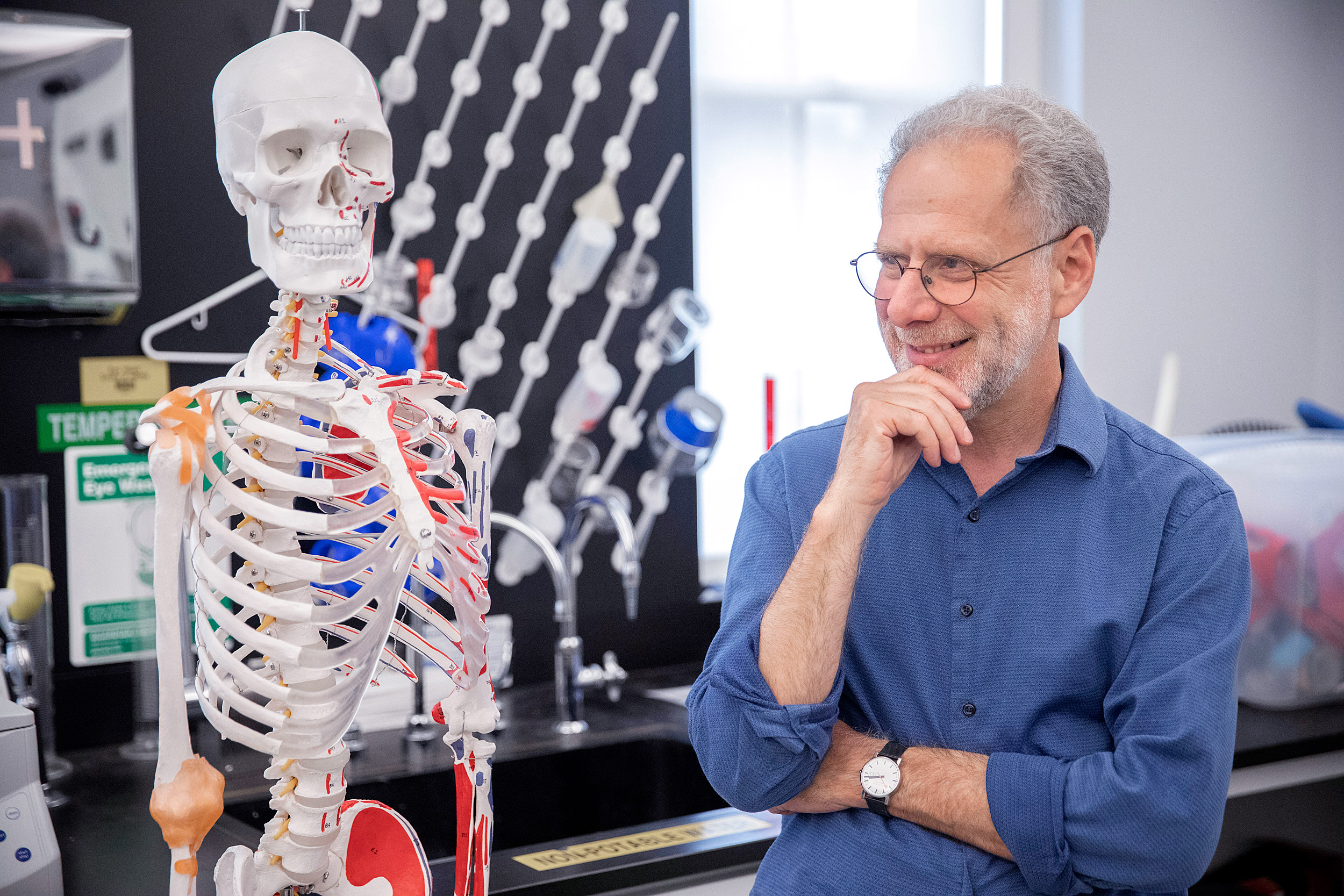 Harvard evolutionary biologist Daniel Lieberman turns his attention to ...