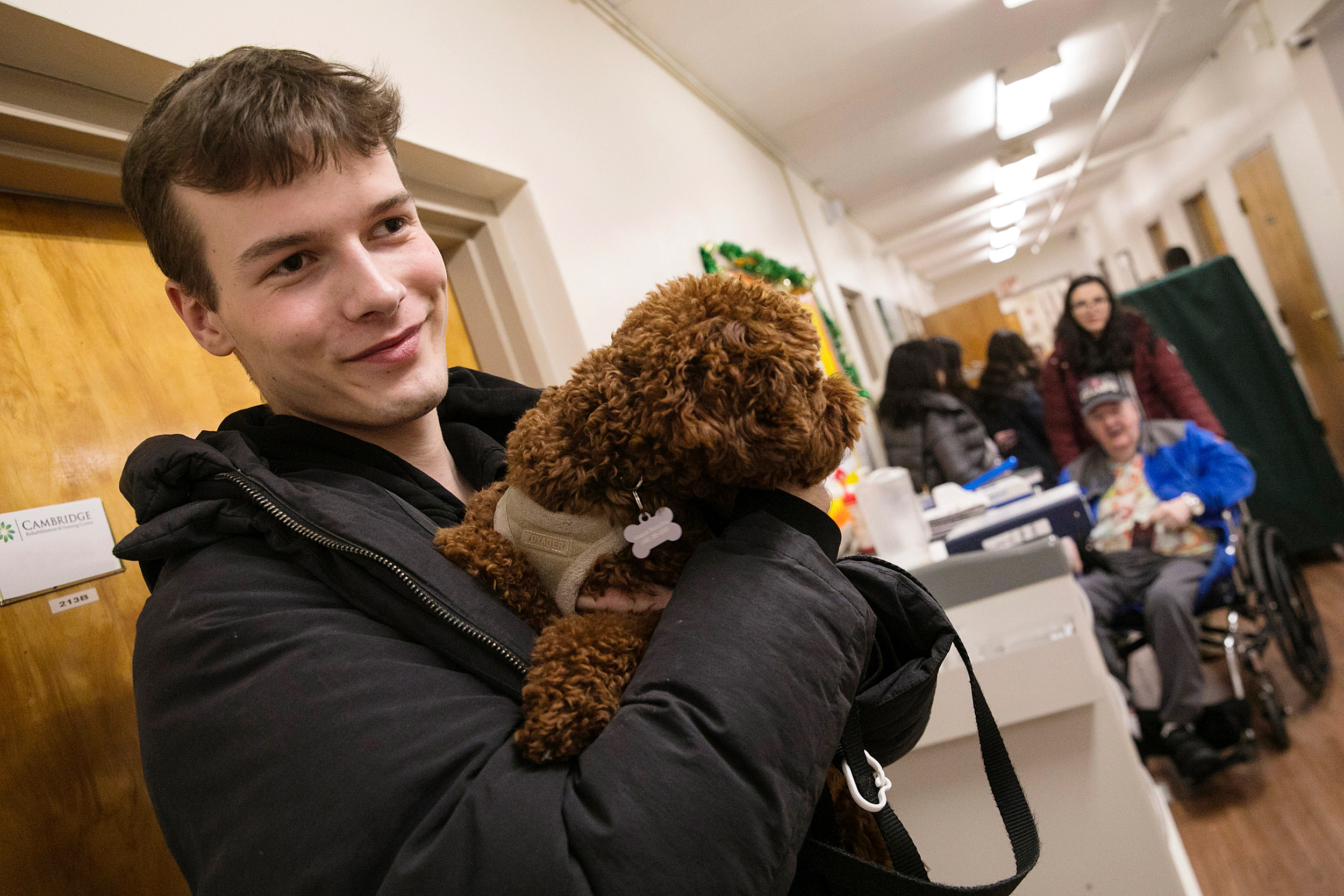 Harvard researcher finds canine brains vary based on breed — Harvard ...