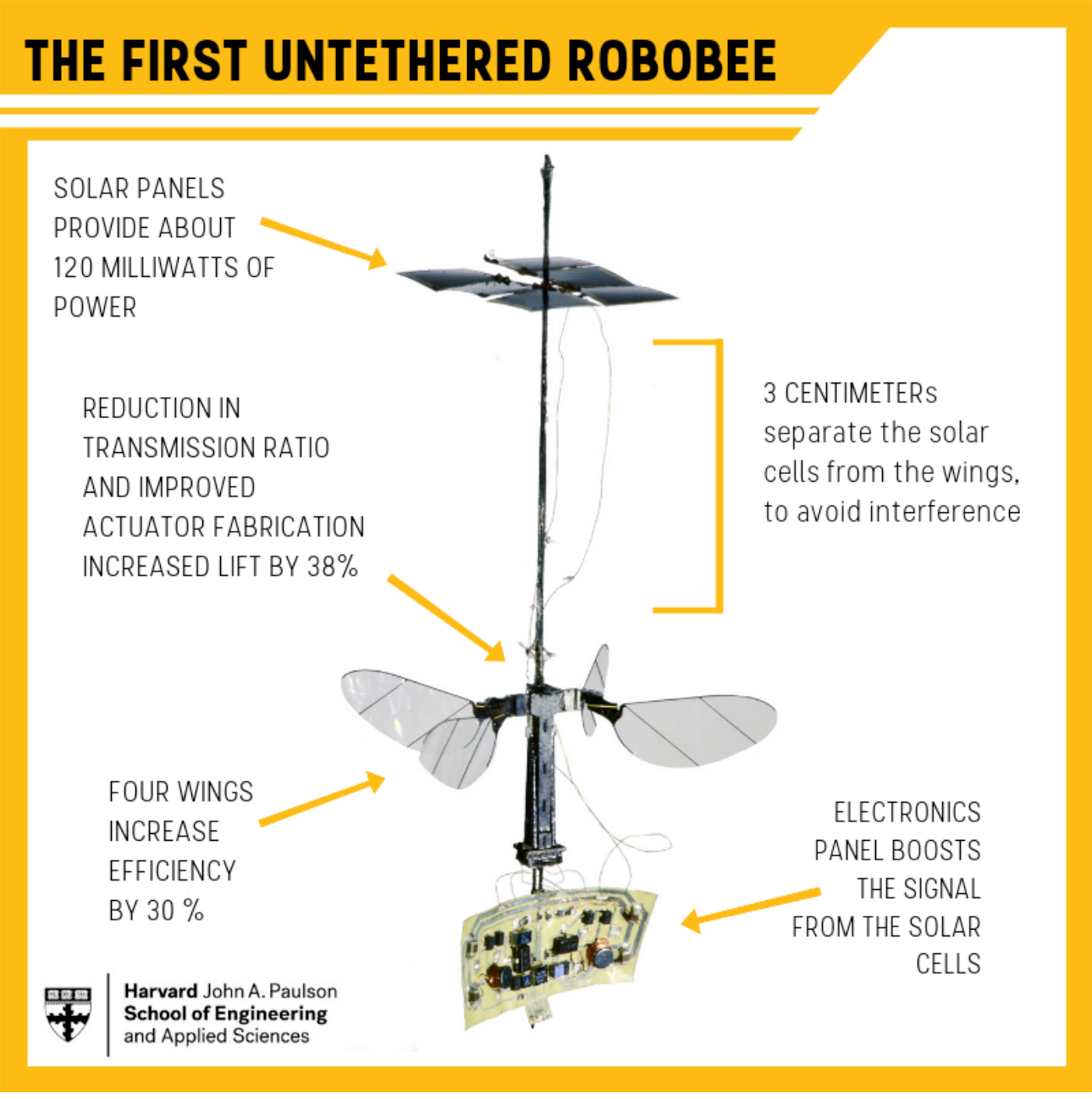 RoboBee makes its first solo flight — Harvard Gazette