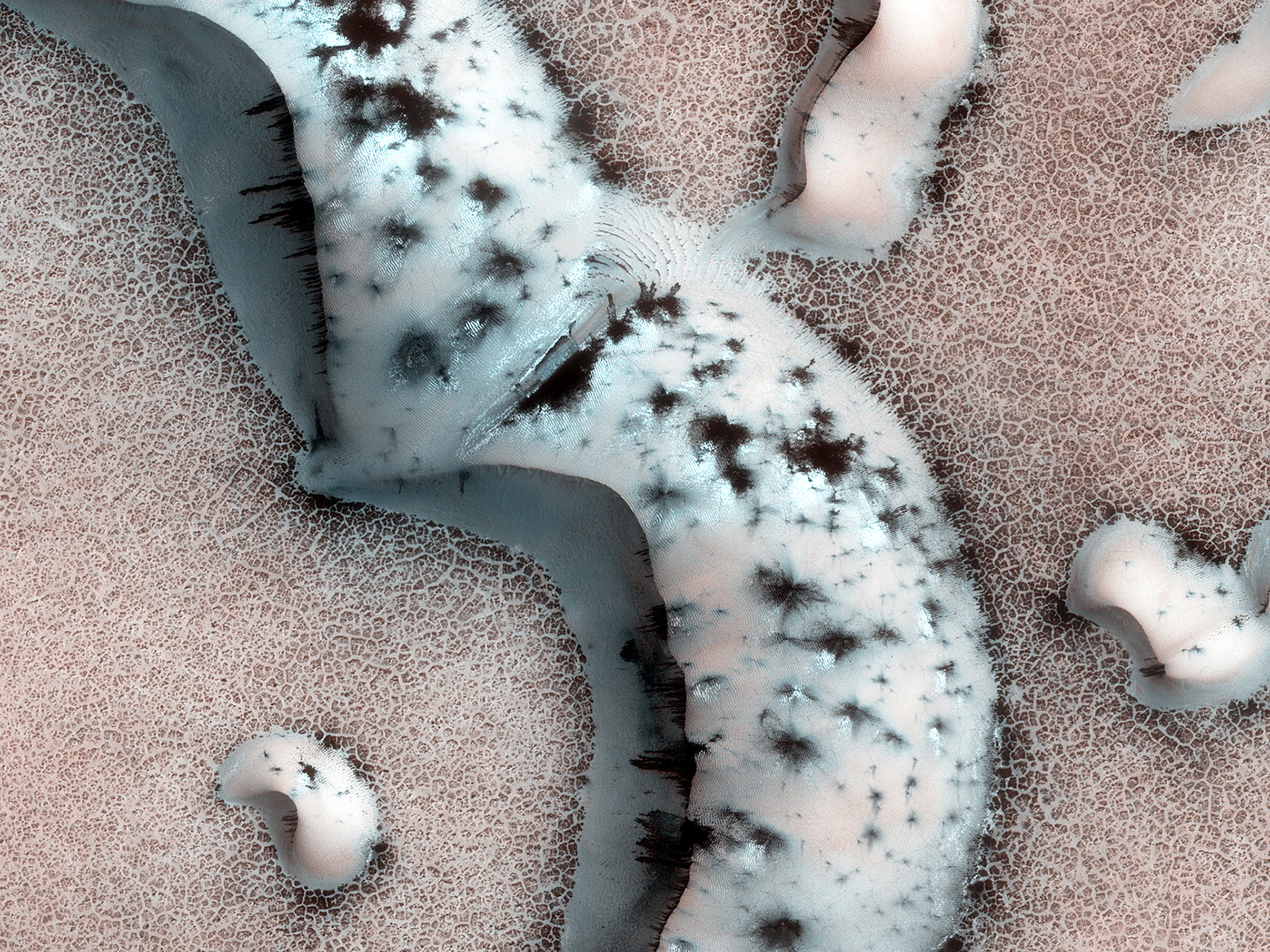 Making Mars habitable — Harvard Gazette