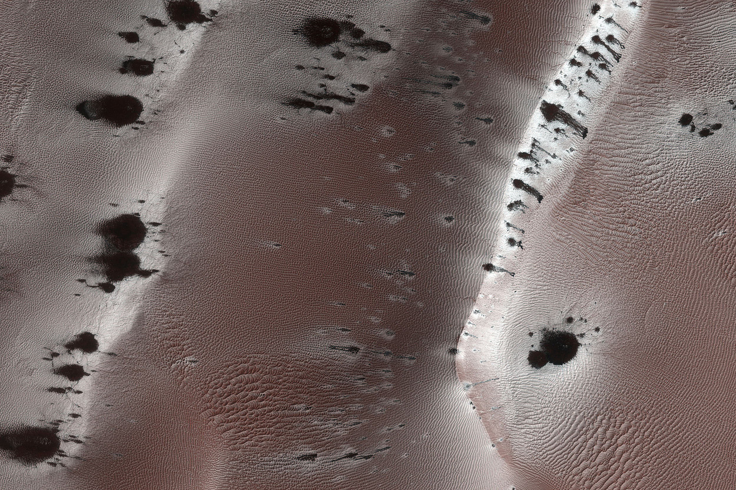 Making Mars habitable — Harvard Gazette
