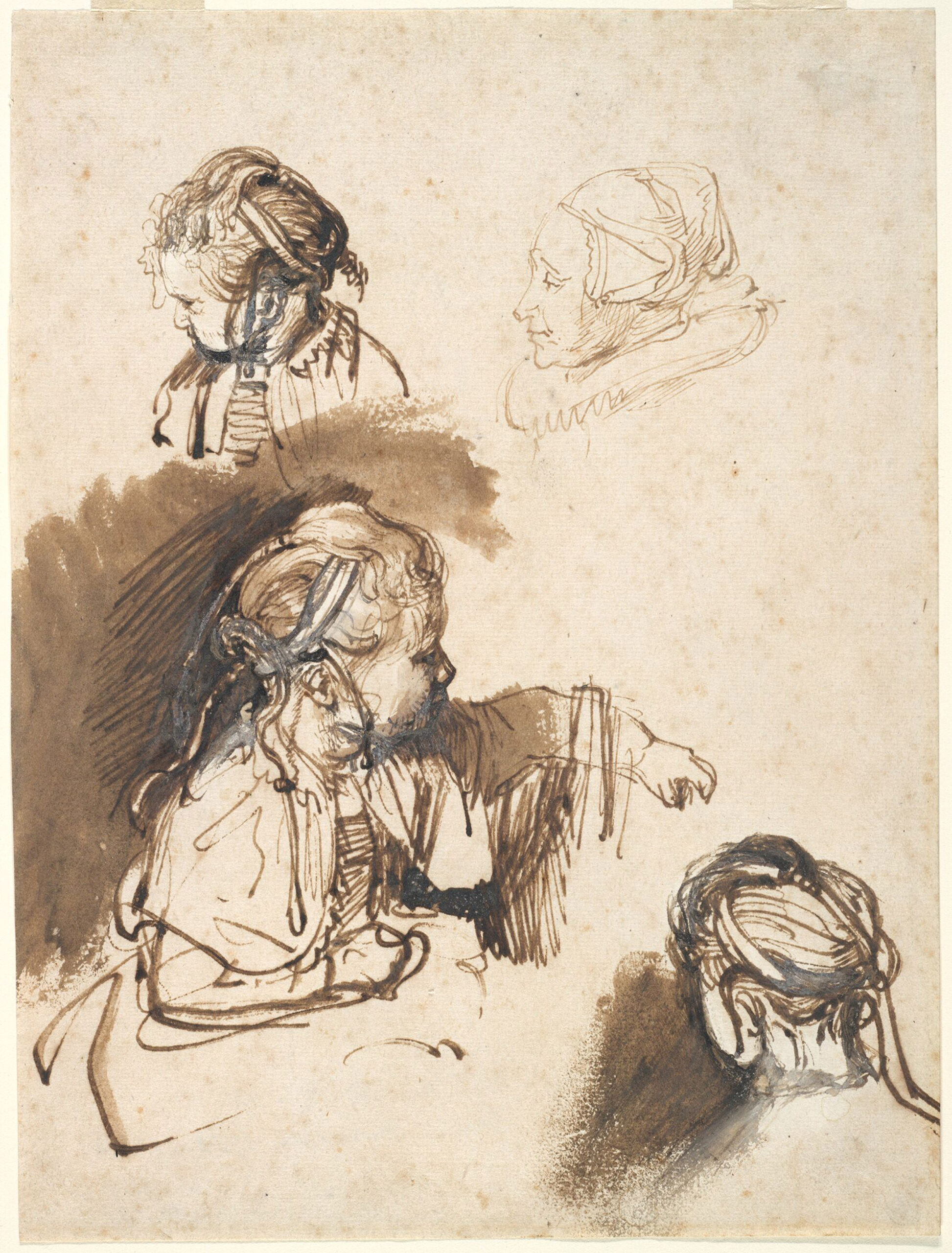 Rembrandt drawing offers a close look at artist’s hand — Harvard Gazette