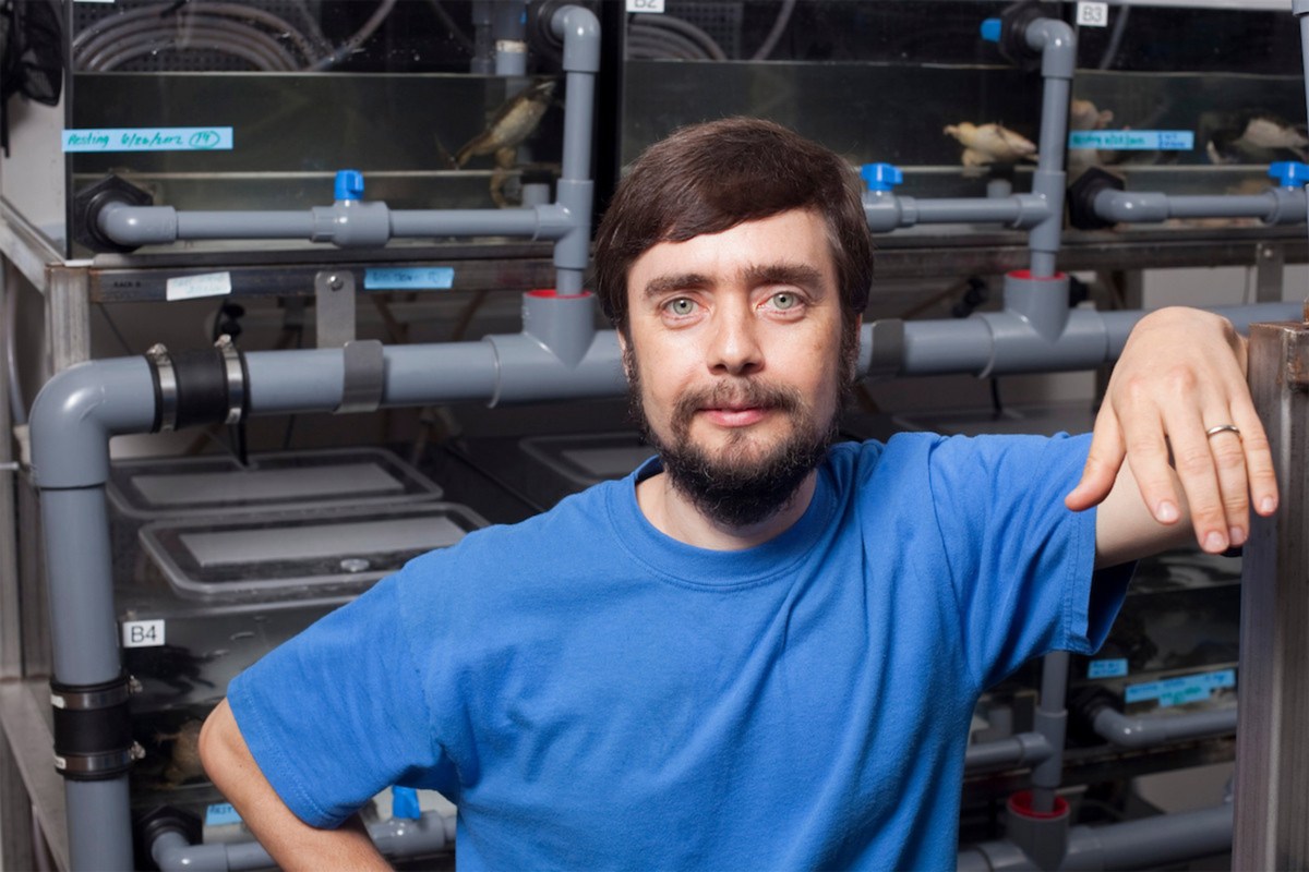 Wyss researchers has electrifying insights into how bodies form ...