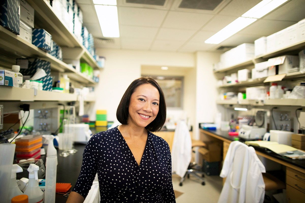 Harvard professor wins Nobel in chemistry – Harvard Gazette