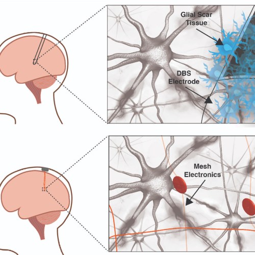 Electronic chip can perform intracellular recording from thousands of ...