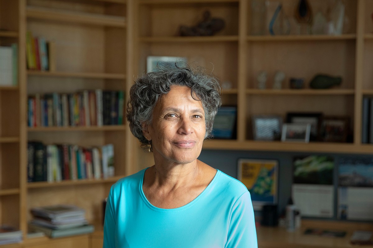 Let them both eat cake – Harvard Gazette