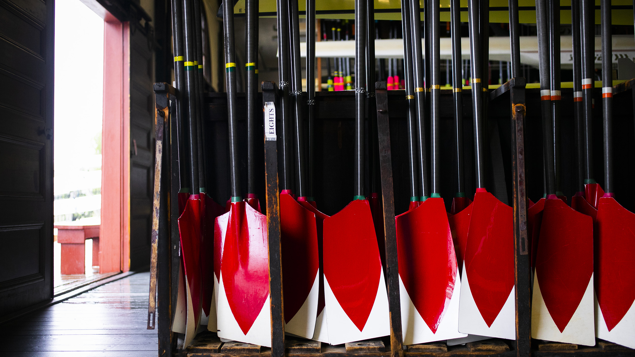 Women's rowing teams reunite in renovated Weld Boathouse — Harvard Gazette