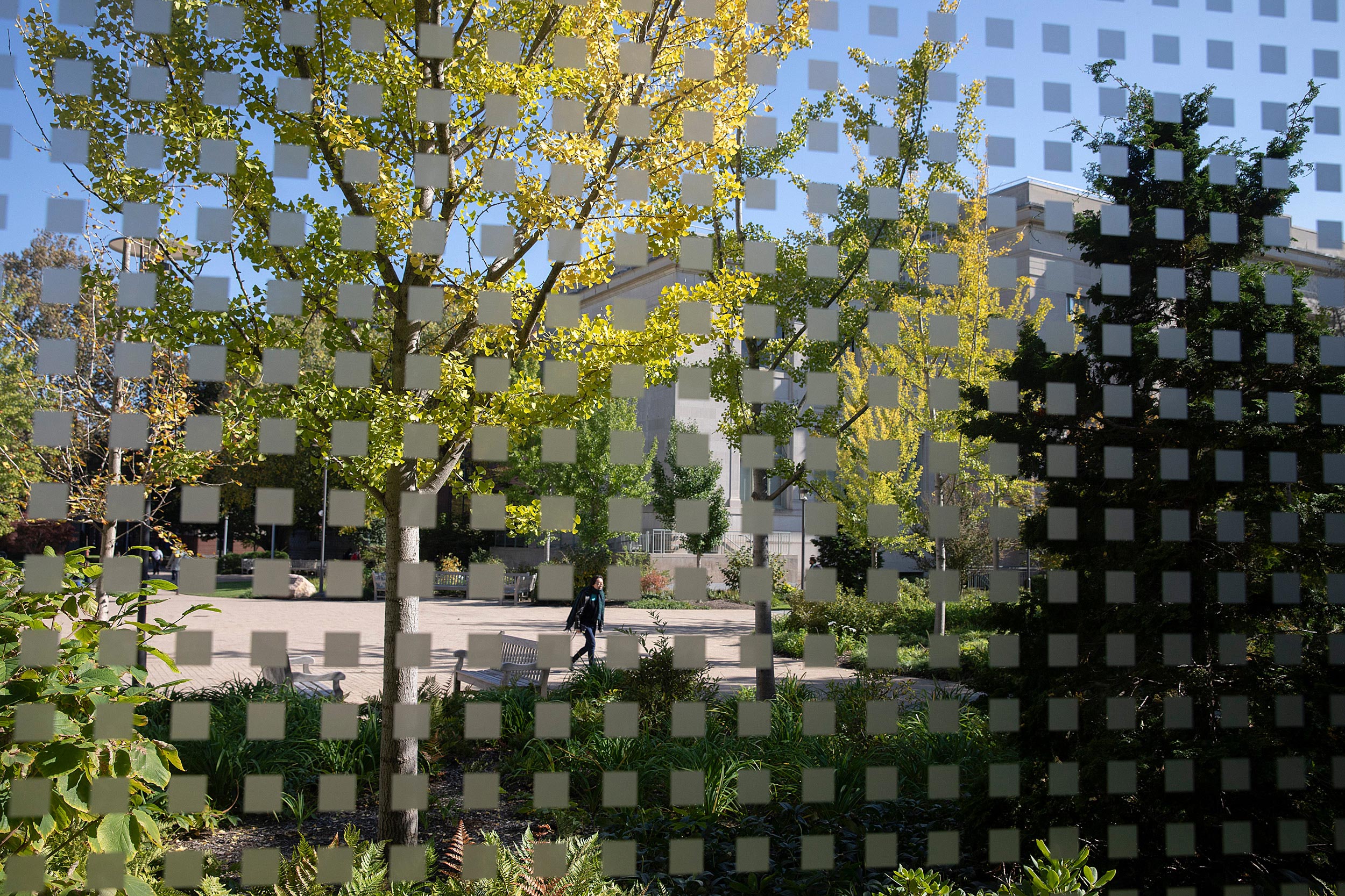 A window onto campus life at Harvard — Harvard Gazette