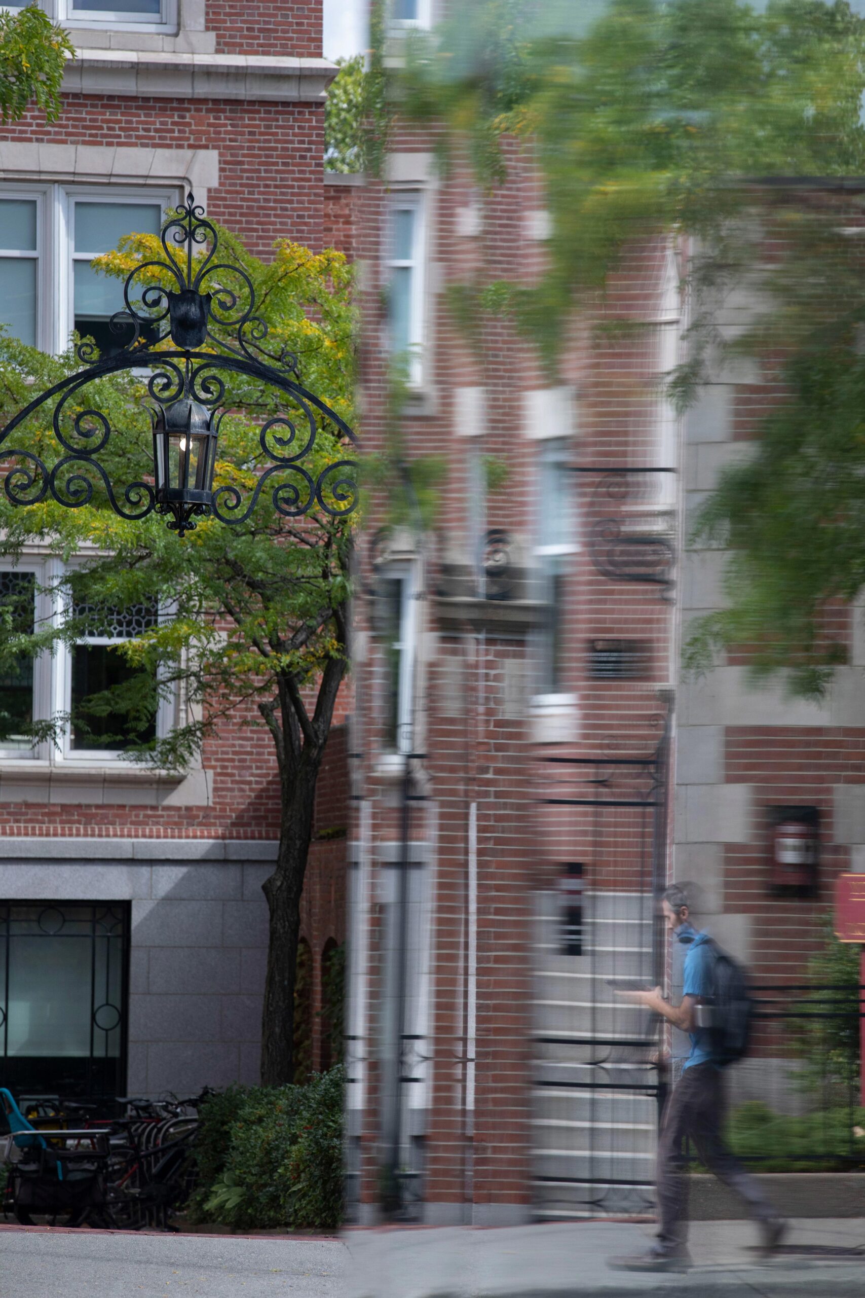 A window onto campus life at Harvard — Harvard Gazette